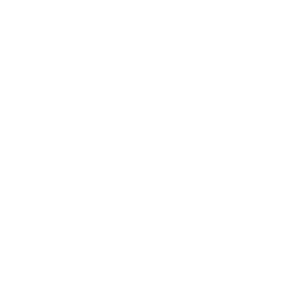 RailSys® Suite – RMCon International