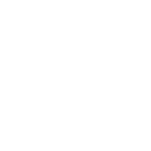 RailSys® Suite – RMCon International