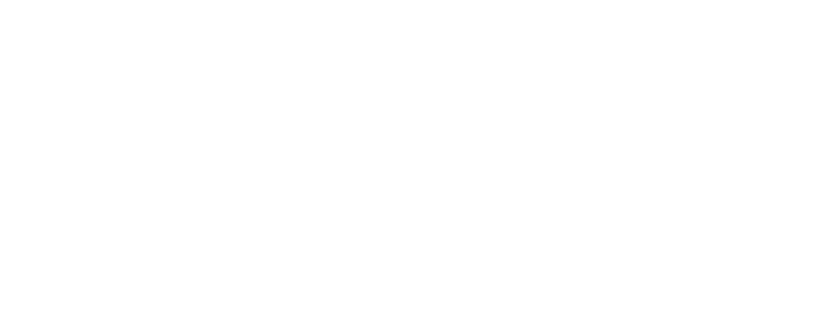 RMCon International – Rail Management Consultants International GmbH